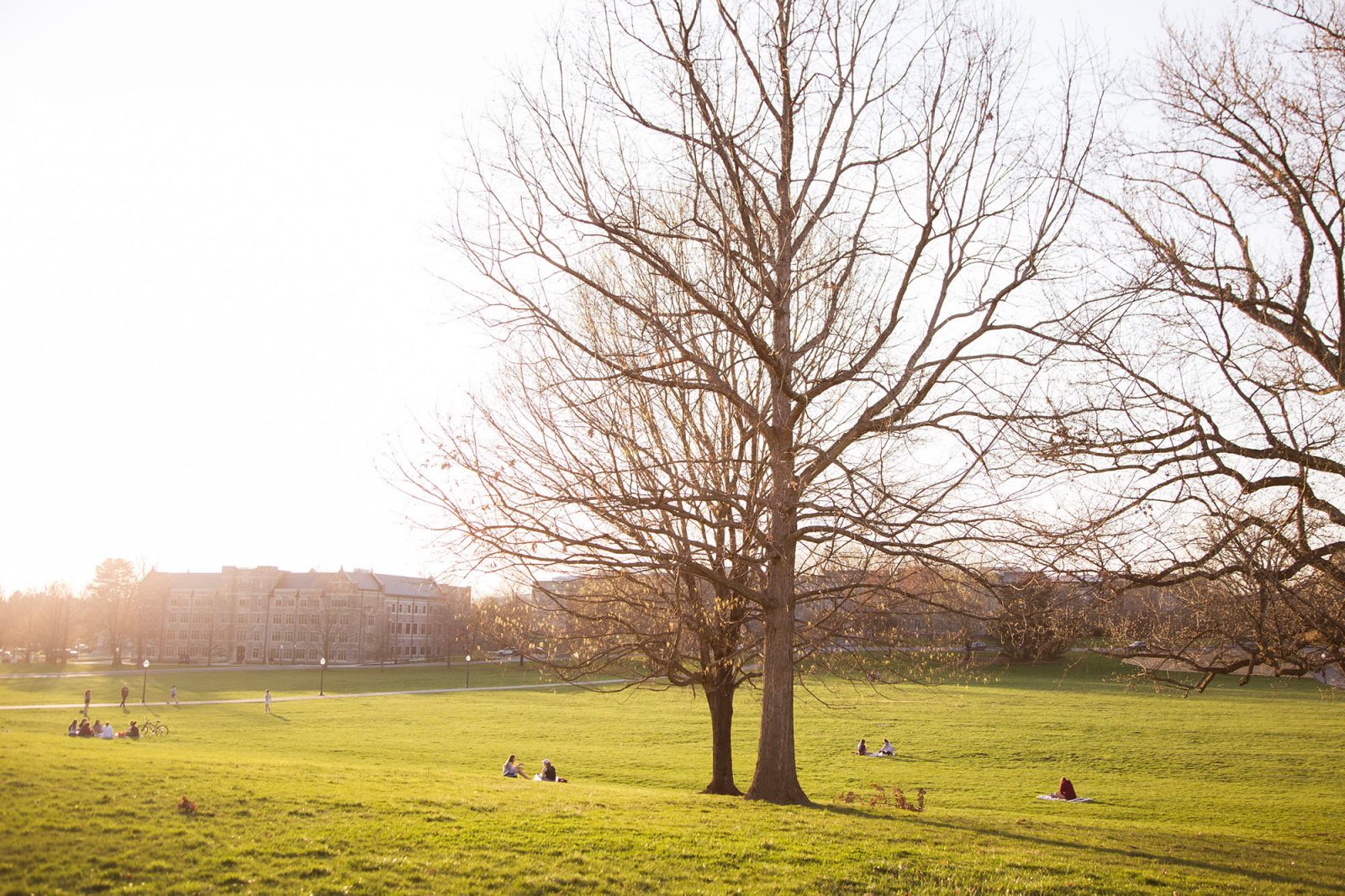 From President Tim Sands: Masks still required | The Hokie Family Hub