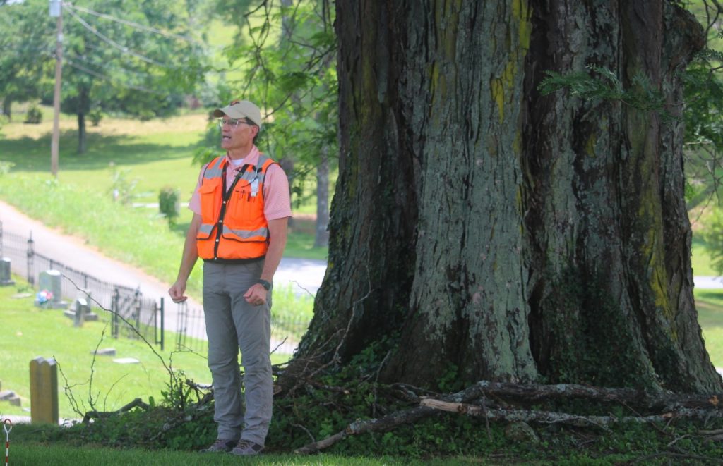 National Champion Trees program revitalized | The Hokie Family Hub